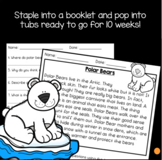 1st Grade Reading Comprehension Passages and Questions, Set 2 ...