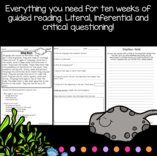 1st Grade Reading Comprehension Passages and Questions, Set 2 ...