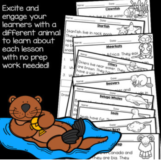 Kindergarten Reading Comprehension Passages and Questions, Set 2 | Made ...