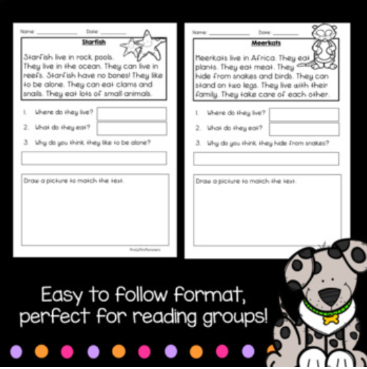 Kindergarten Reading Comprehension Passages and Questions, Set 2 | Made ...
