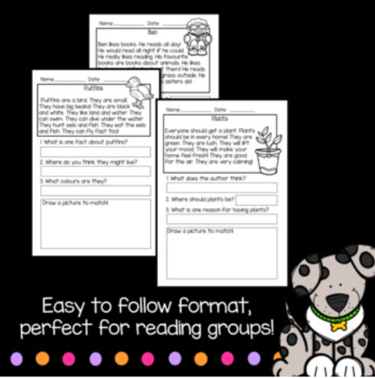Kindergarten Reading Comprehension Passages and Questions, Set 3 | Made ...