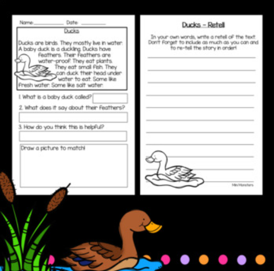Kindergarten Reading Comprehension Passages and Questions, Set 4 | Made ...