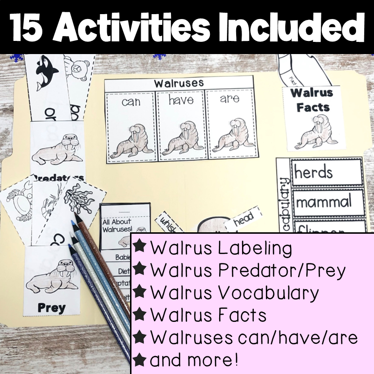 Walrus Research Activities Interactive Notebook Lapbook | Kindergarten ...