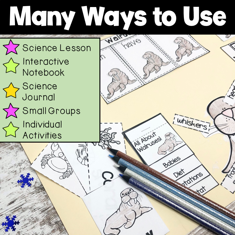 Walrus Research Activities Interactive Notebook Lapbook | Kindergarten ...