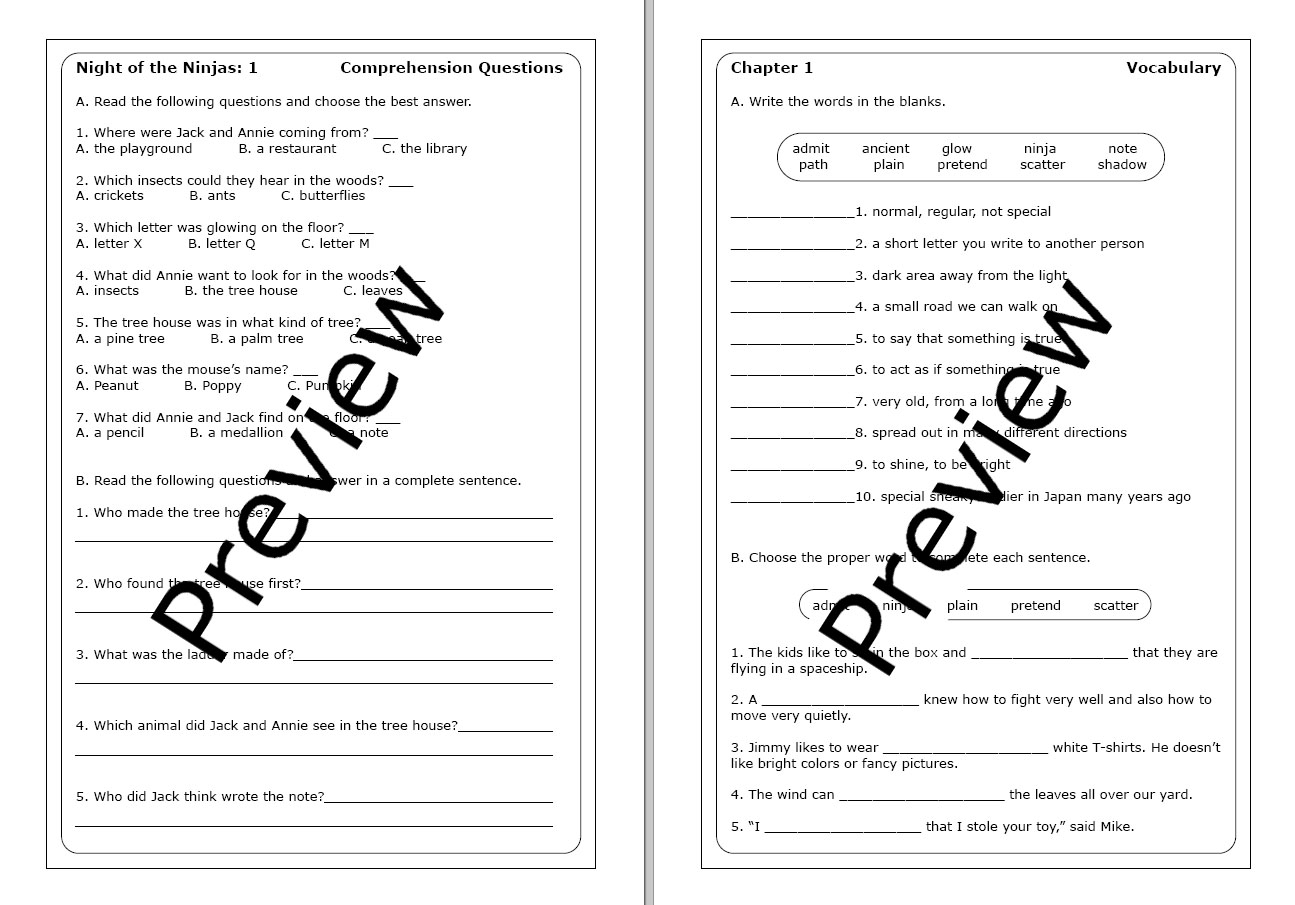 Magic Tree House "Night of the Ninjas" worksheets | Made By Teachers