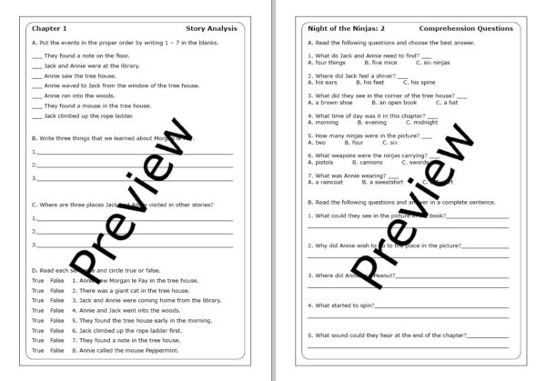 Magic Tree House "Night of the Ninjas" worksheets | Made By Teachers