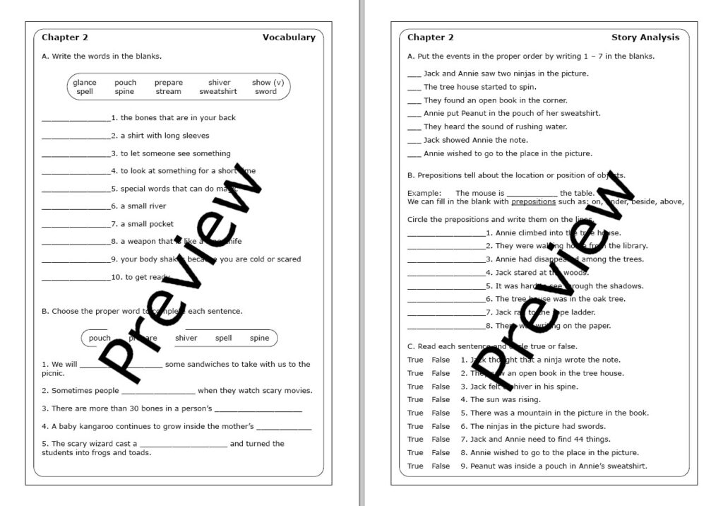Magic Tree House "Night of the Ninjas" worksheets | Made By Teachers