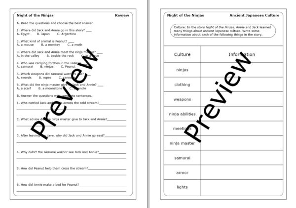 Magic Tree House "Night of the Ninjas" worksheets | Made By Teachers