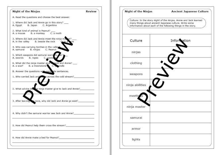 Magic Tree House "Night of the Ninjas" worksheets | Made By Teachers