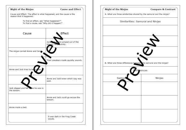 Magic Tree House "Night of the Ninjas" worksheets | Made By Teachers