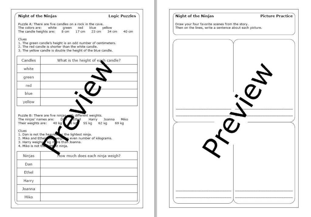 Magic Tree House "Night of the Ninjas" worksheets | Made By Teachers