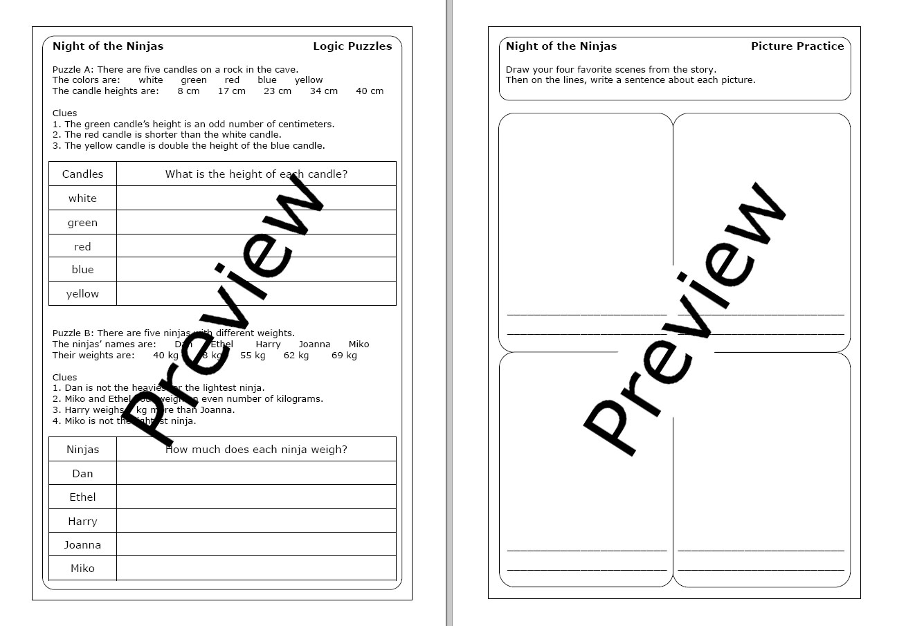 Magic Tree House "Night of the Ninjas" worksheets | Made By Teachers