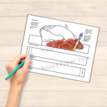 Artist Painter Paper Crown Career Day Printable Coloring Craft Activity ...