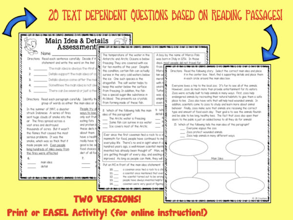 Main Idea Assessment | Made By Teachers