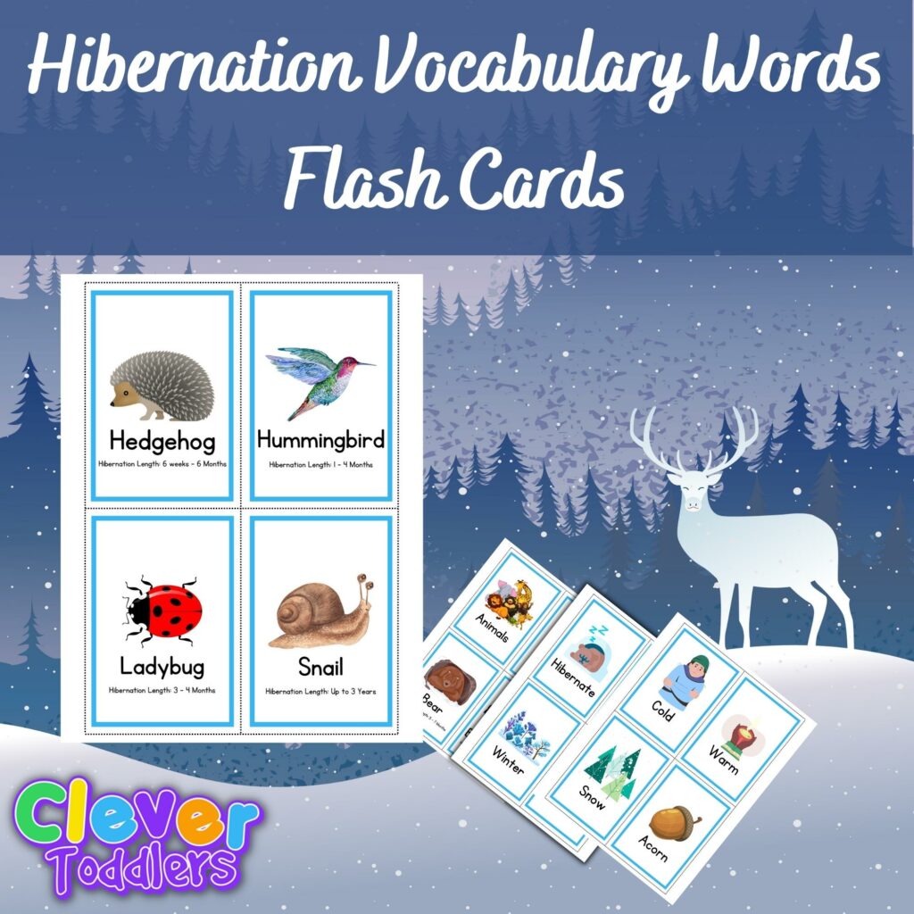 Hibernation Winter Vocabulary Activities | Preschool Flash Cards | Made ...