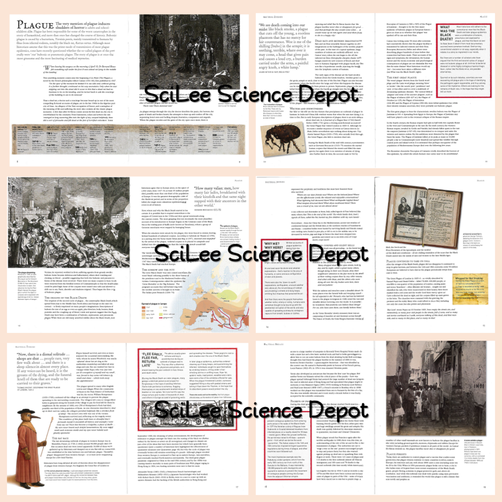 The Plague Active Reading and Worksheet | Made By Teachers