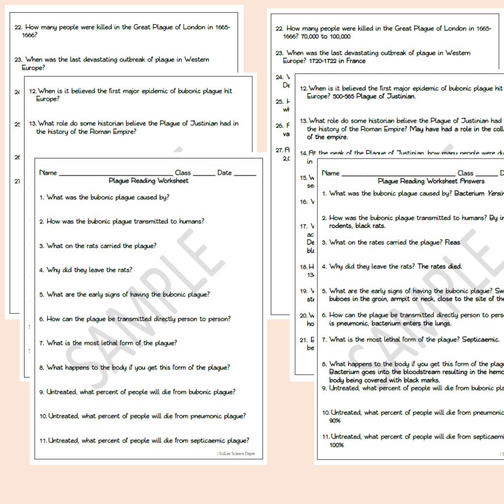 The Plague Active Reading and Worksheet | Made By Teachers