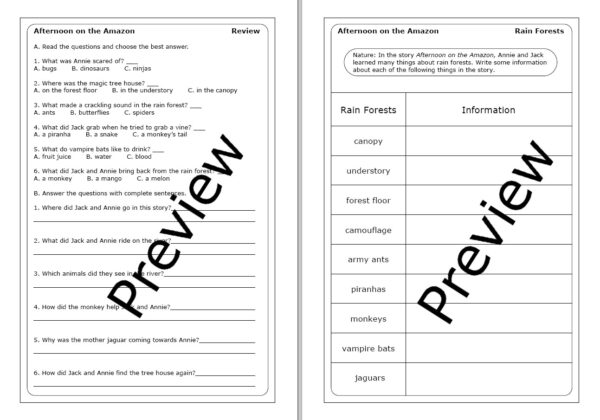 Magic Tree House "Afternoon on the Amazon" worksheets | Made By Teachers