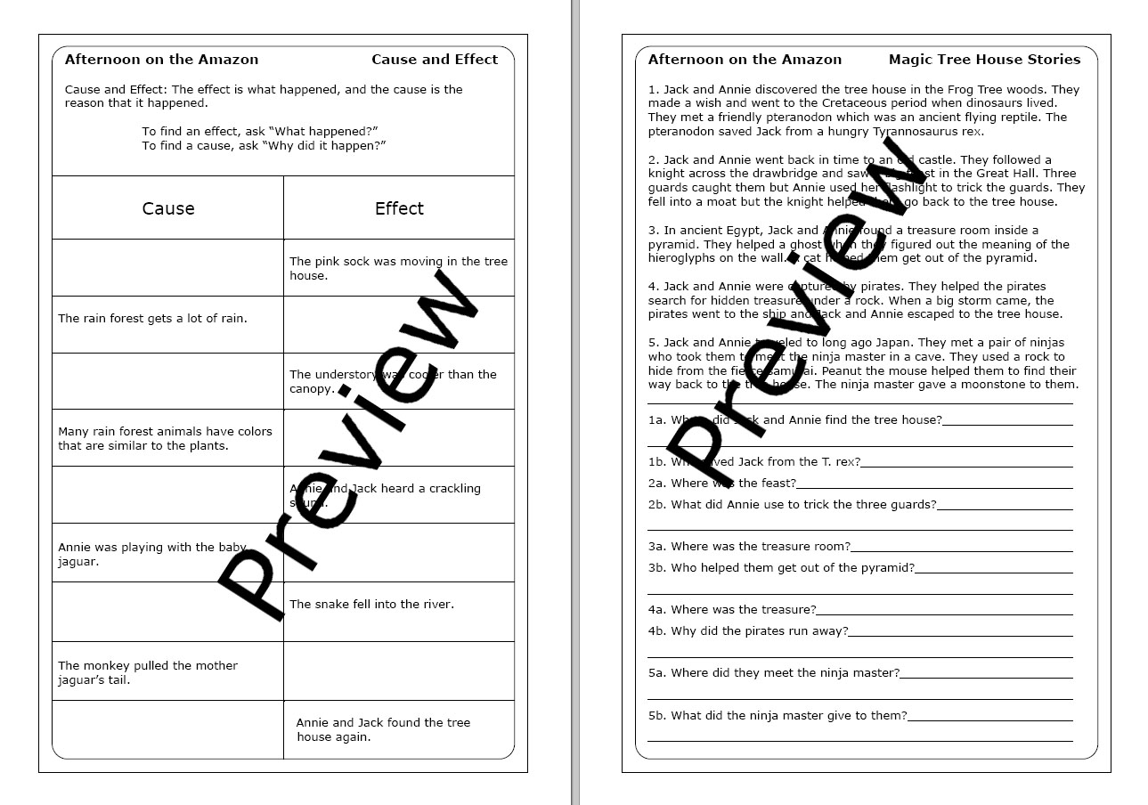 Magic Tree House "Afternoon on the Amazon" worksheets | Made By Teachers