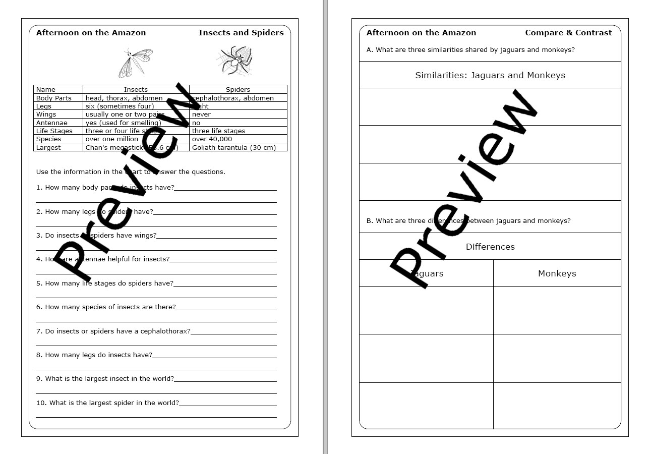 Magic Tree House "Afternoon on the Amazon" worksheets | Made By Teachers