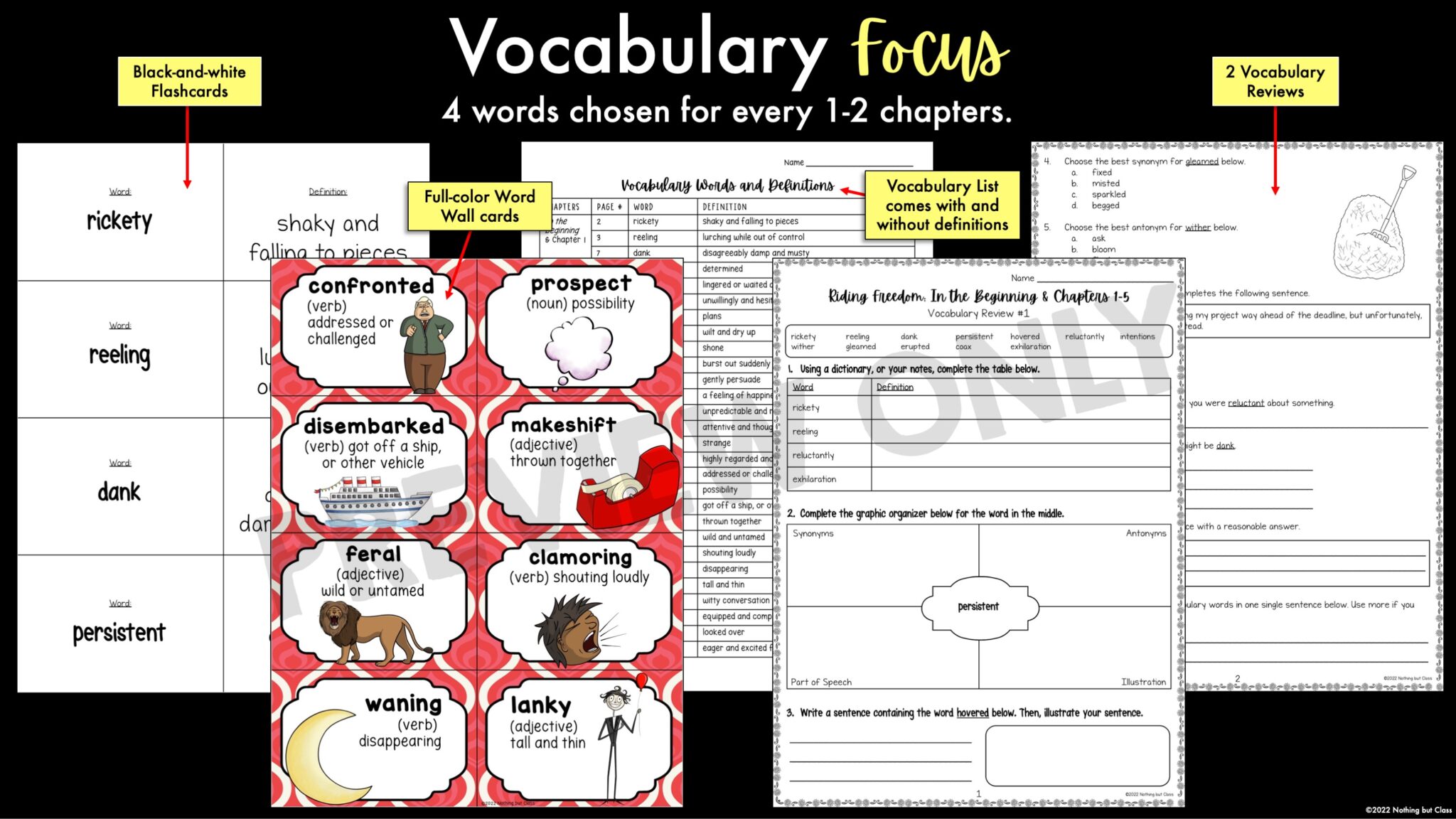 Riding Freedom Novel Study Unit | Comprehension and Vocabulary with ...