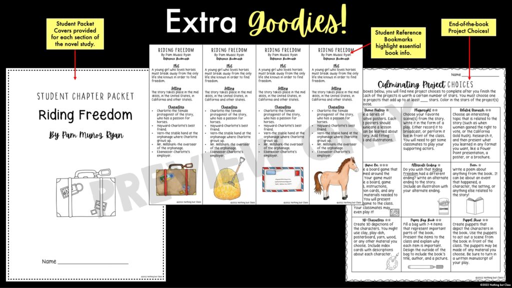 Riding Freedom Novel Study Unit | Comprehension and Vocabulary with ...