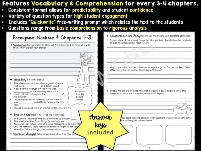 Stargirl Novel Study Unit | Comprehension and Vocabulary with ...