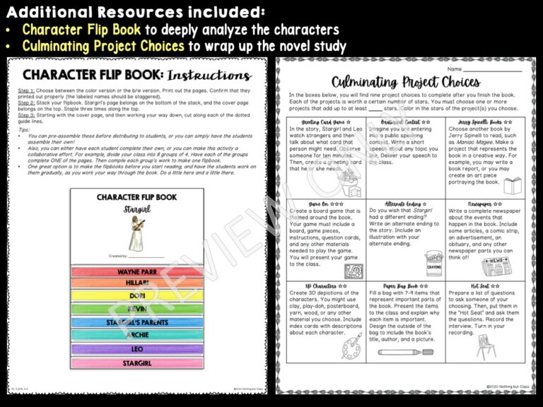 Stargirl Novel Study Unit | Comprehension and Vocabulary with ...