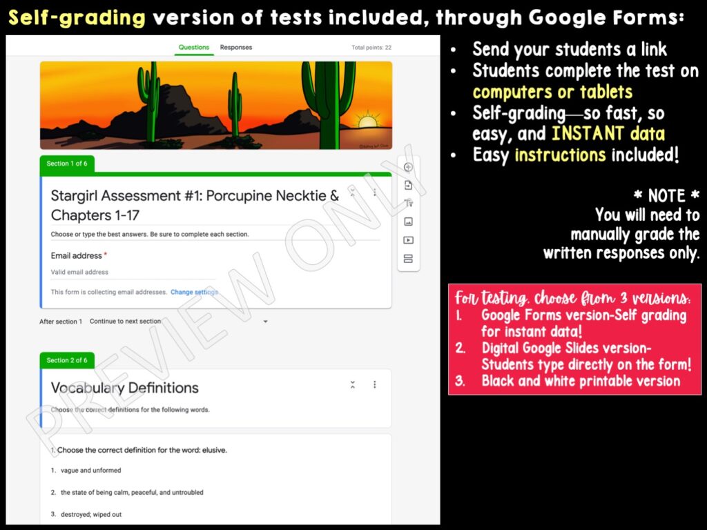 Stargirl Novel Study Unit | Comprehension and Vocabulary with ...