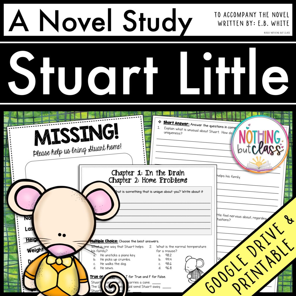 Stuart Little Novel Study Unit | Comprehension and Vocabulary with ...