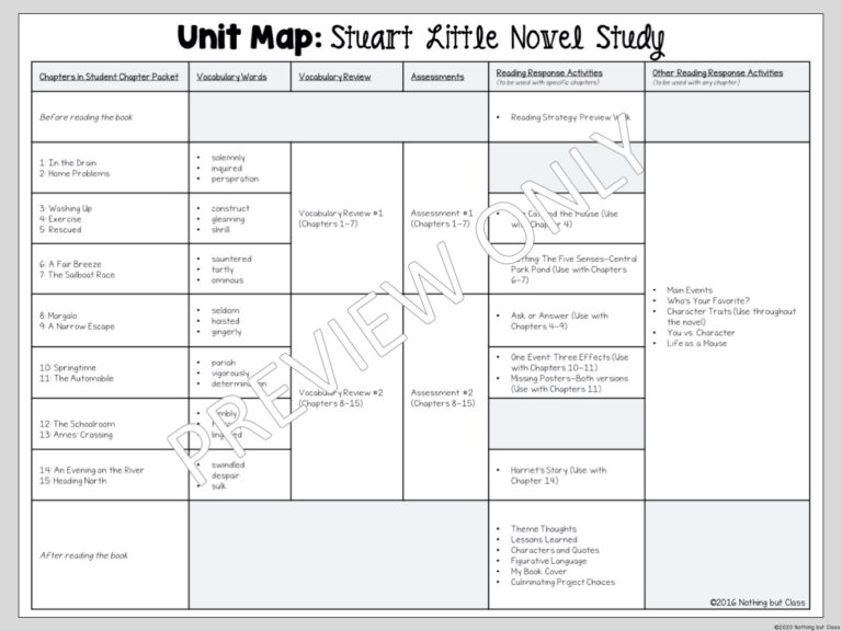Stuart Little Novel Study Unit | Comprehension and Vocabulary with ...