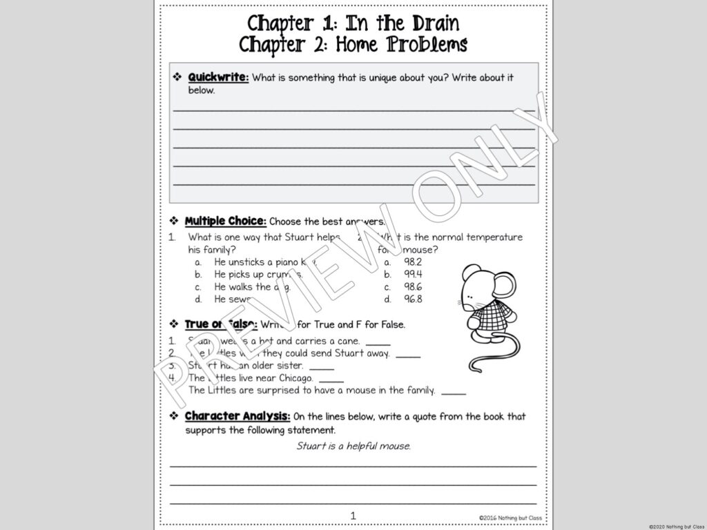 Stuart Little Novel Study Unit | Comprehension and Vocabulary with ...