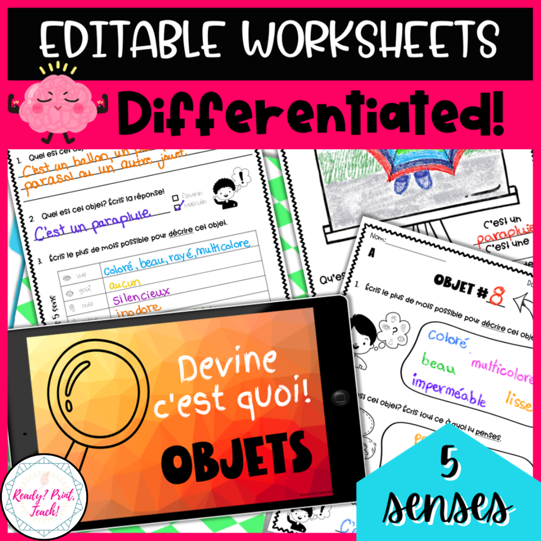 French Ice breaker Brain break Vocabulary Guess picture game Sentence ...