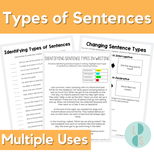 Types of Sentences Worksheets - Made By Teachers