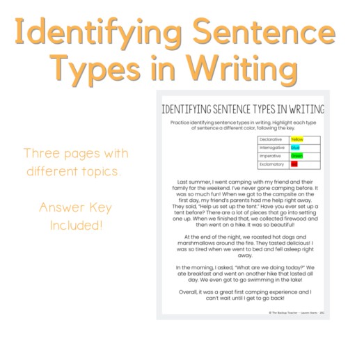 Types of Sentences Worksheets | Made By Teachers