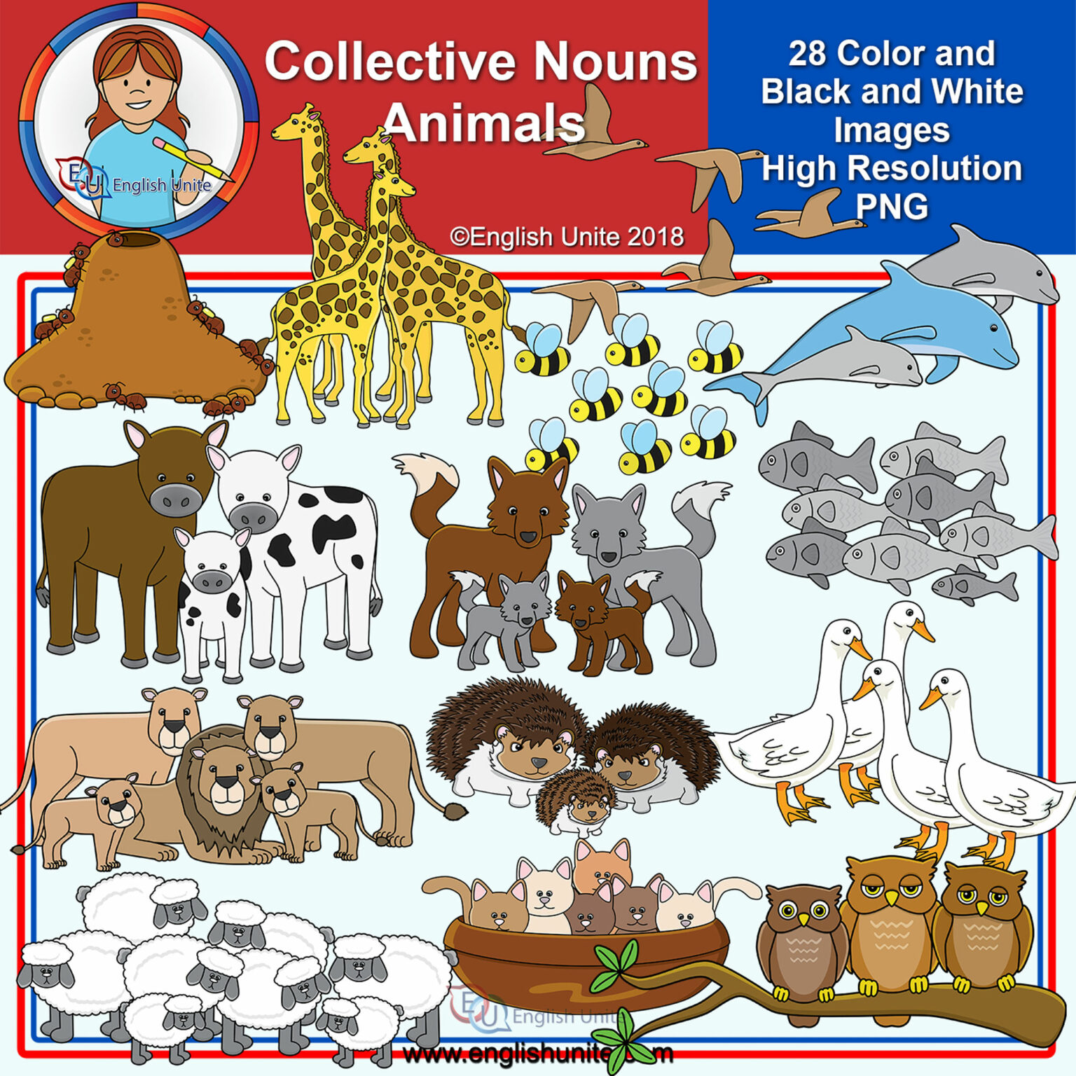 Clip Art - Collective Nouns Bundle | Made By Teachers