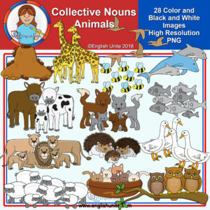 Clip Art - Collective Nouns Bundle | Made By Teachers