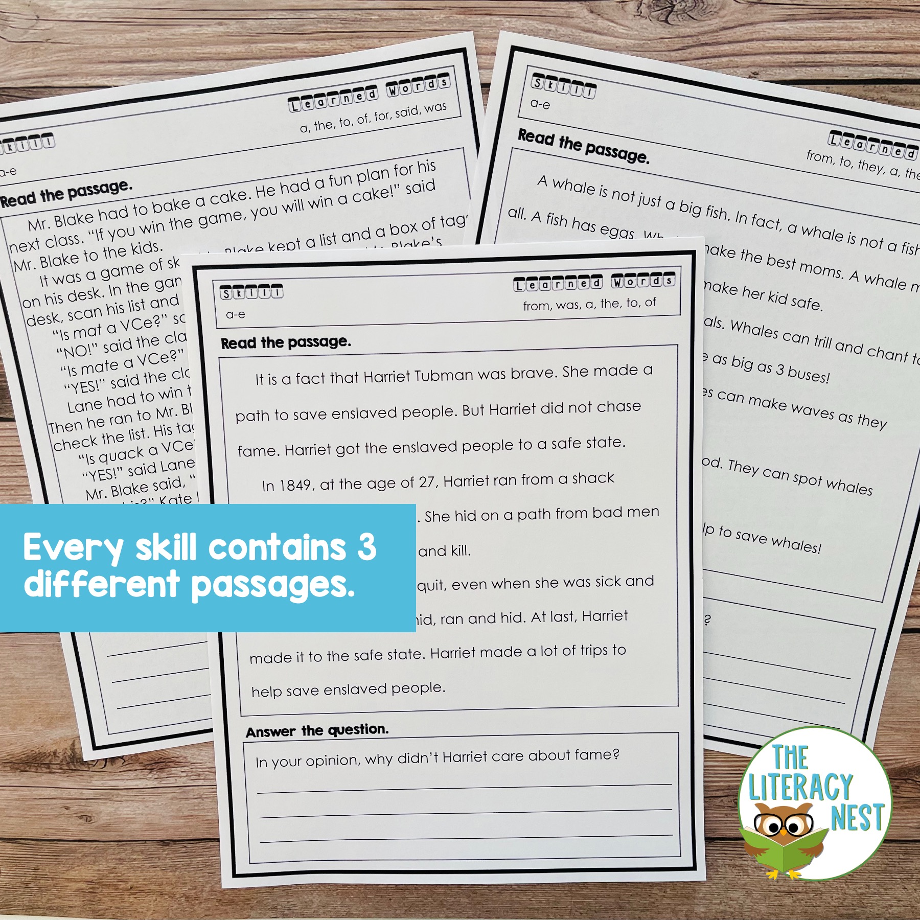 VCe Syllable Type Decodable Reading Passages | Made By Teachers