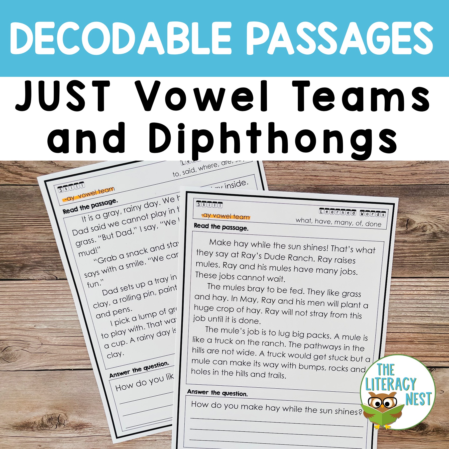 Decodable Passages for Syllable Division and Syllable Types | Made By ...