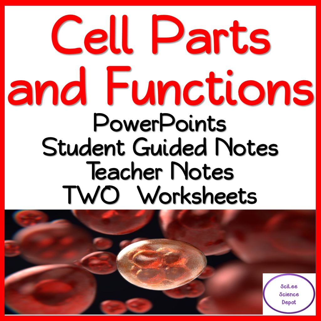 Cell Structure and Function PowerPoint and Worksheets | Made By Teachers