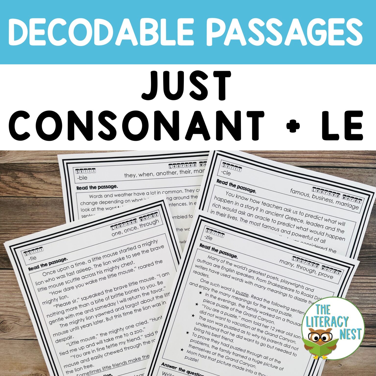 Decodable Passages for Consonant + LE Syllables | Made By Teachers