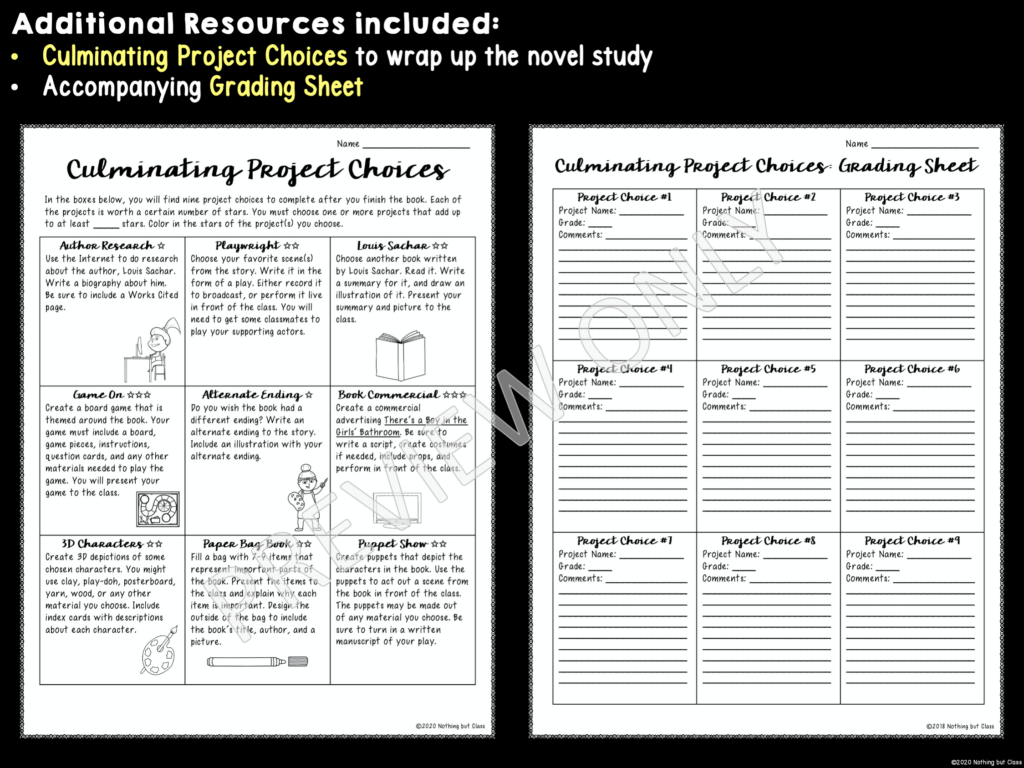 There's a Boy in the Girls' Bathroom Novel Study | Comprehension with ...