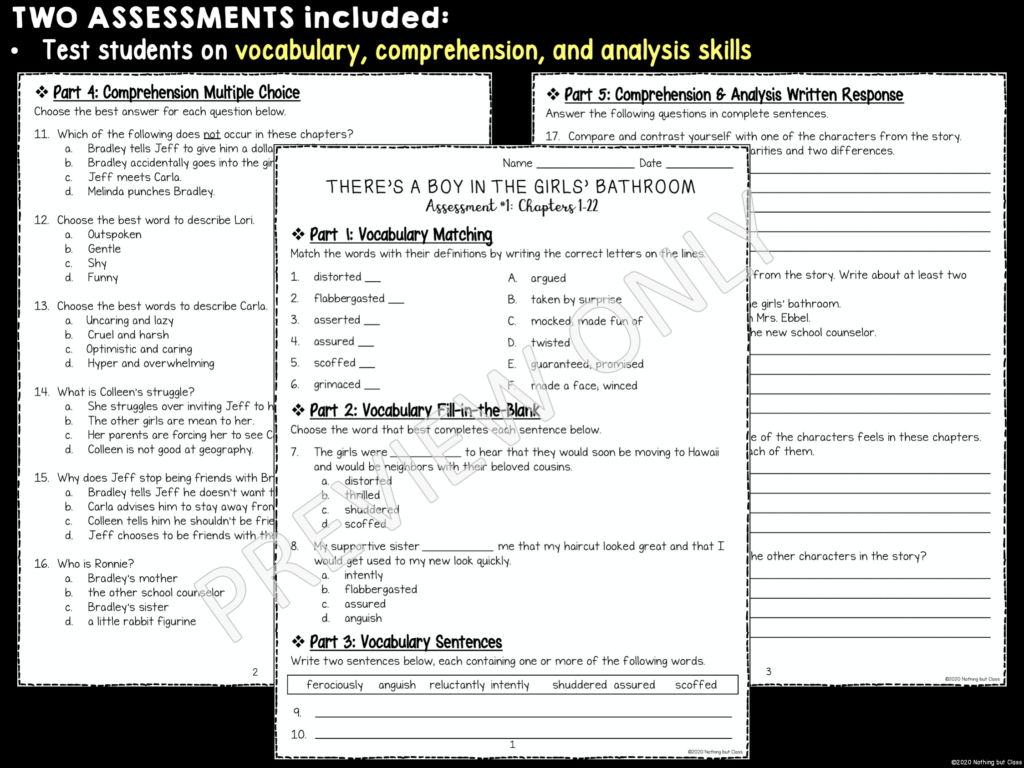 There's a Boy in the Girls' Bathroom Novel Study | Comprehension with ...