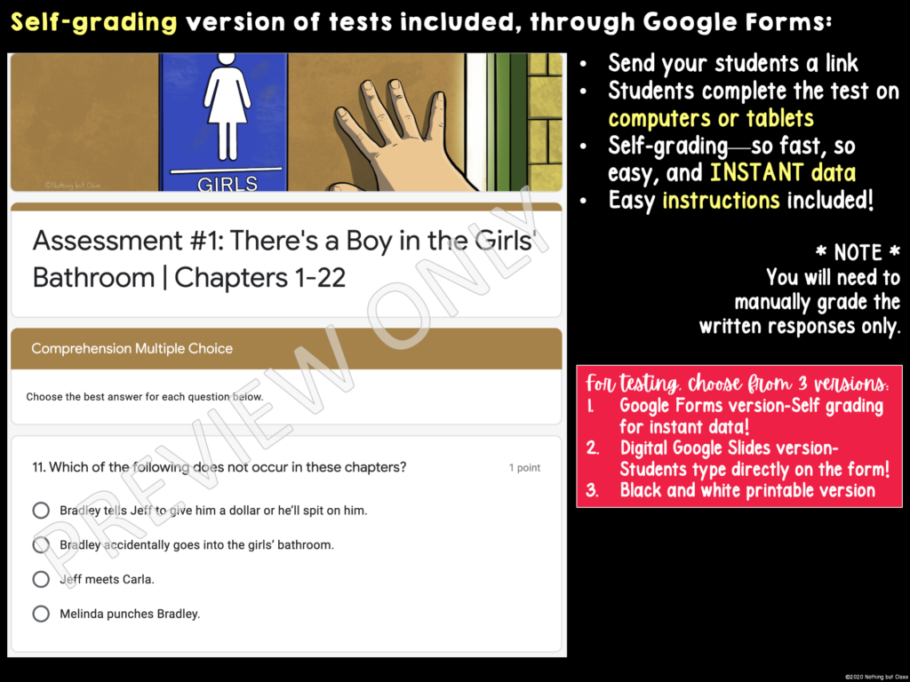 There's a Boy in the Girls' Bathroom Novel Study | Comprehension with ...