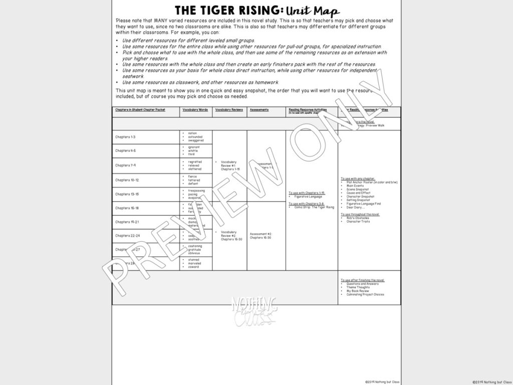 The Tiger Rising Novel Study Unit | Comprehension with Activities and ...