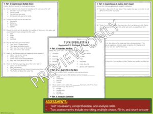 Tuck Everlasting Novel Study Unit | Comprehension with Activities and ...