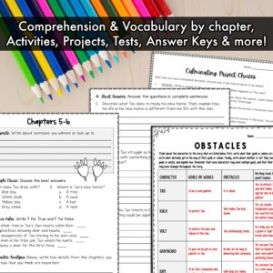 Boy of the Painted Cave Novel Study Unit | Comprehension and Vocabulary ...