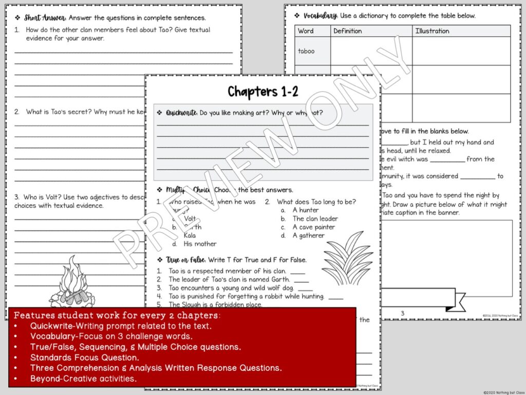 Boy of the Painted Cave Novel Study Unit | Comprehension and Vocabulary ...