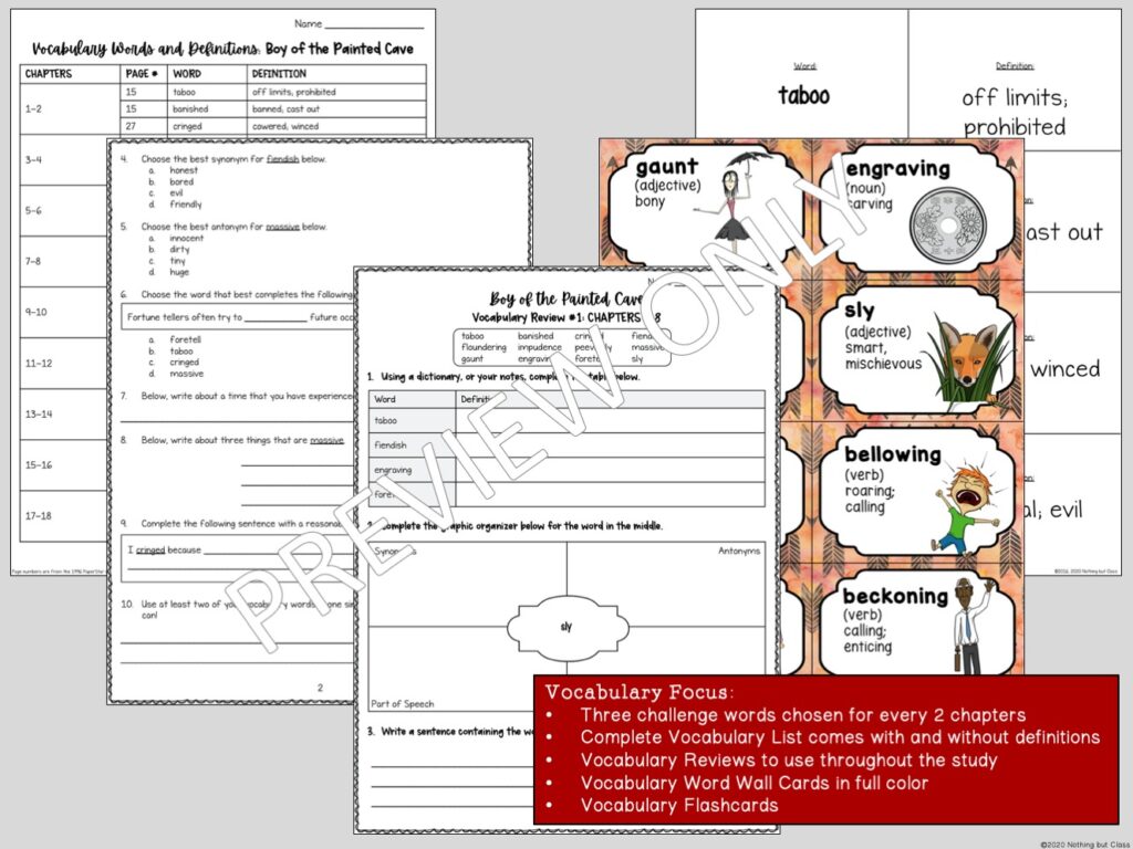 Boy of the Painted Cave Novel Study Unit | Comprehension and Vocabulary ...