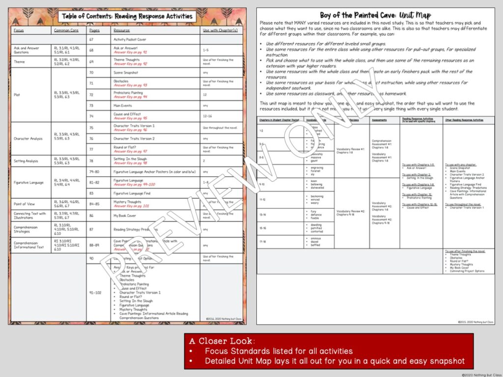 Boy of the Painted Cave Novel Study Unit | Comprehension and Vocabulary ...